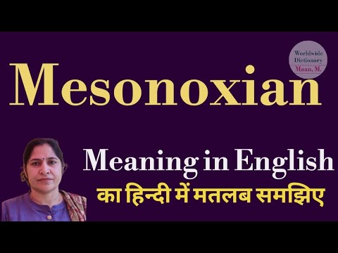 Mesonoxian meaning l meaning of mesonoxian l mesonoxian ka matlab Hindi ...