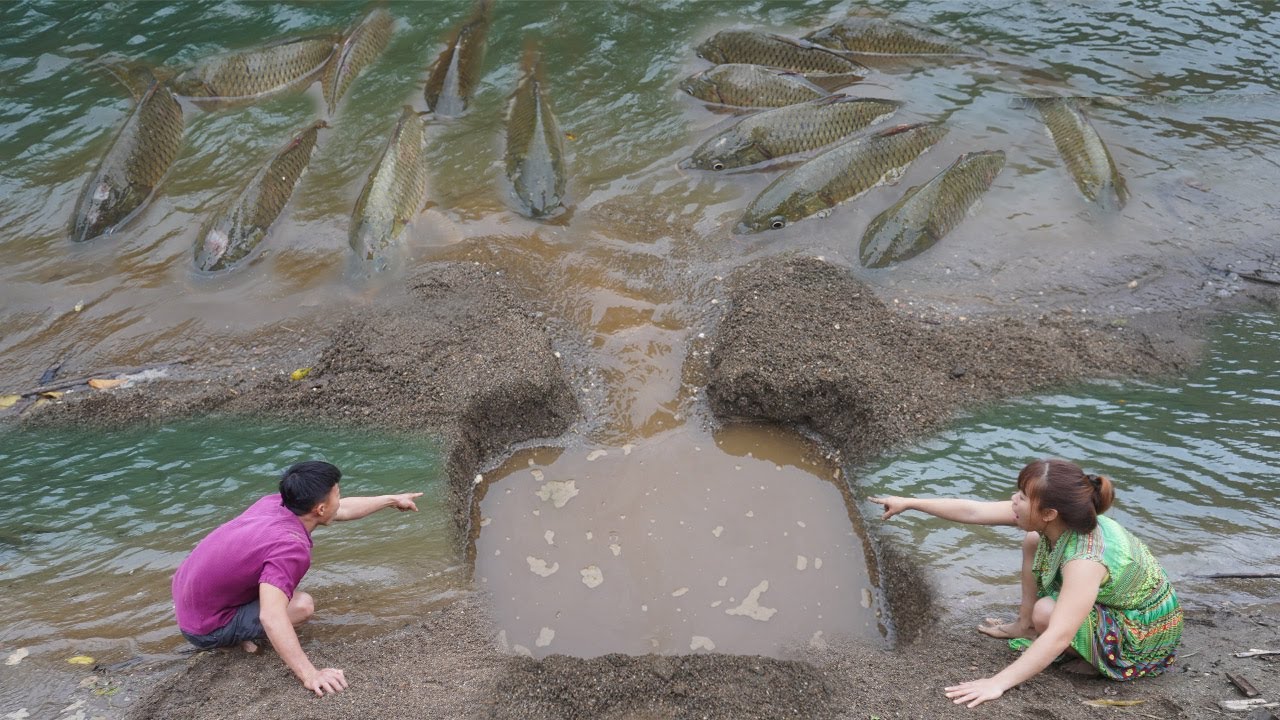 Amazing Fishing - Dig Hole Build Fish Trap Catch Many Fish - Fee ...