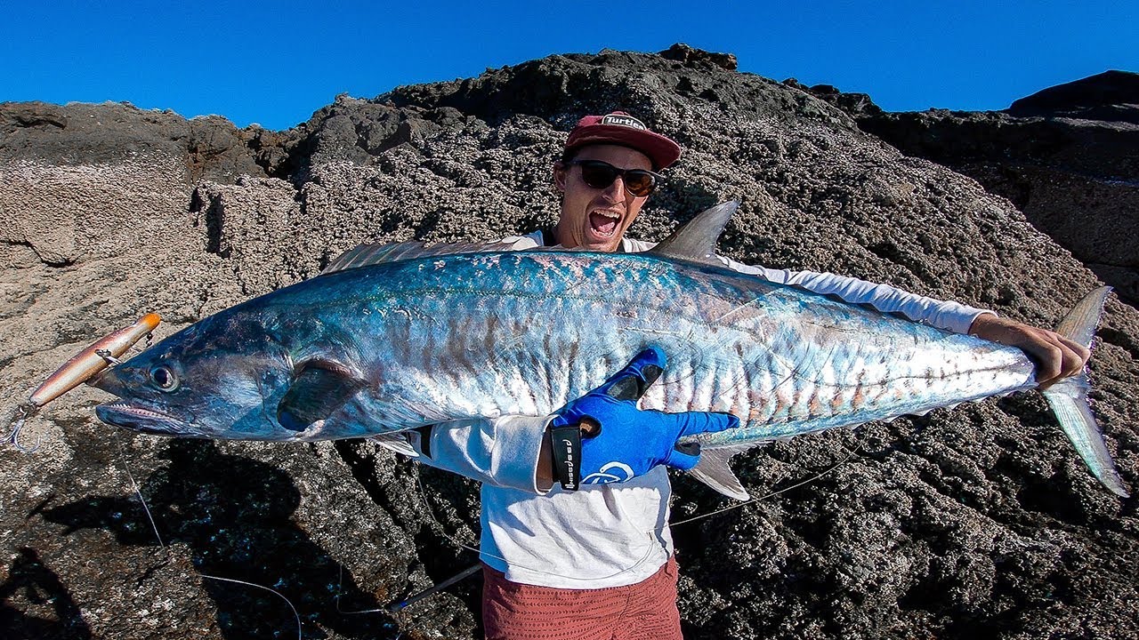 Monster Mackerel | Island Rock Fishing - YouTube