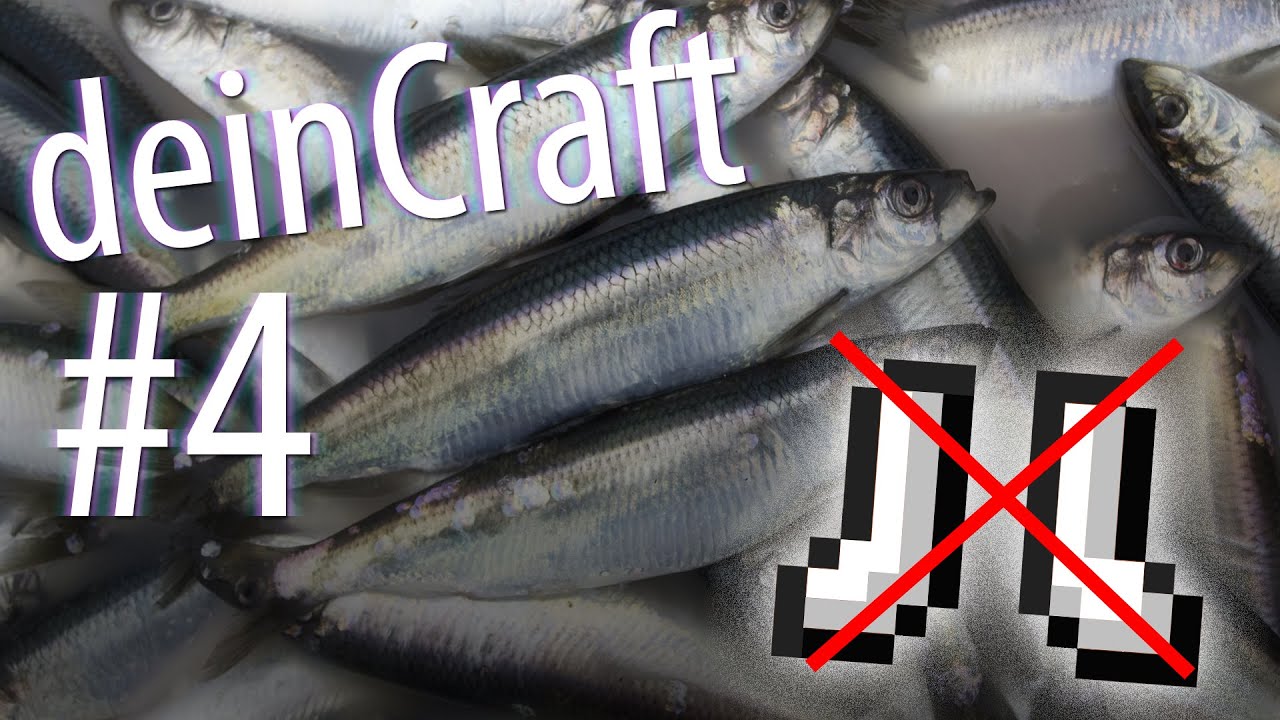 Frischer FISCH + Verlorene JORDANS! - deinCraft #004 | MottekLP - YouTube