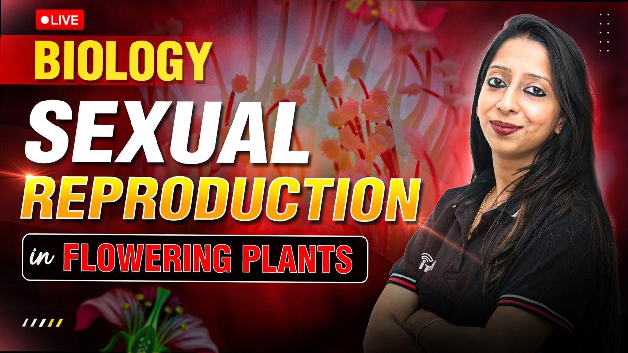 LIVE: Sexual Reproduction in Flowering Plants || NSEJS Biology 2025 # ...
