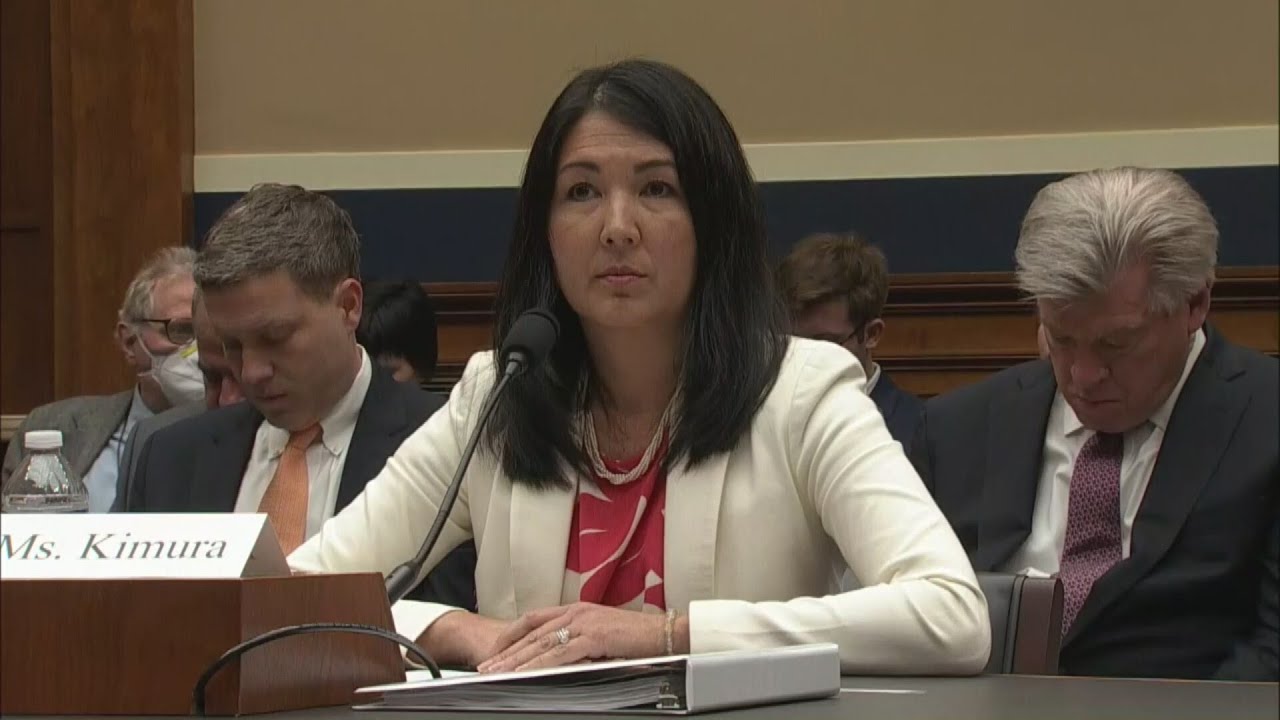 HECO, State Energy Office, PUC appear before Congress - YouTube