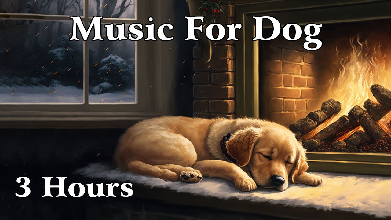 Dog Sleep Music 🐶 Relaxing Melodies to keep your dog asleep! 🐶Music For ...