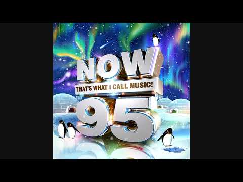 NOW That's What I Call Music! 95