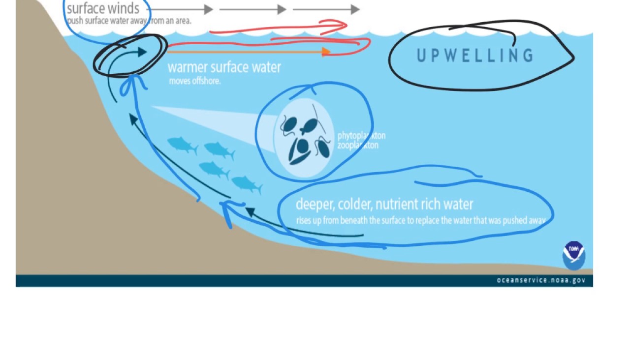 Earth Science B3 Dynamic Ocean - YouTube