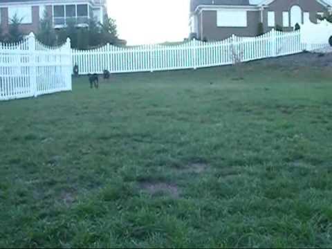 Howard Jordan Madison Fehr - YouTube