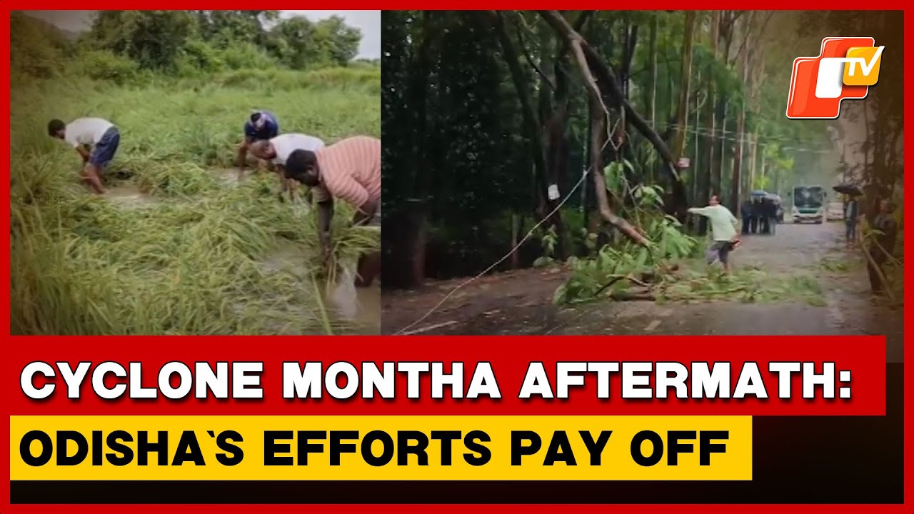 Cyclone Montha Aftermath In Odisha: 33 Blocks, 11 Urban Areas Affected ...