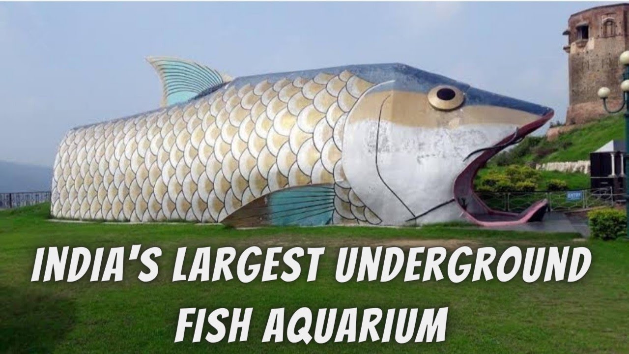 BAGE BAHU INDIA'S LARGEST UNDERGROUND FISH AQUARIUM || BAHU FORT ...