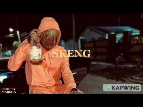 [FREE] SKILLIBENG X SKENG/SHENSEEA X TRAP DANCEHALL TYPE BEAT ''SKENG'' - YouTube