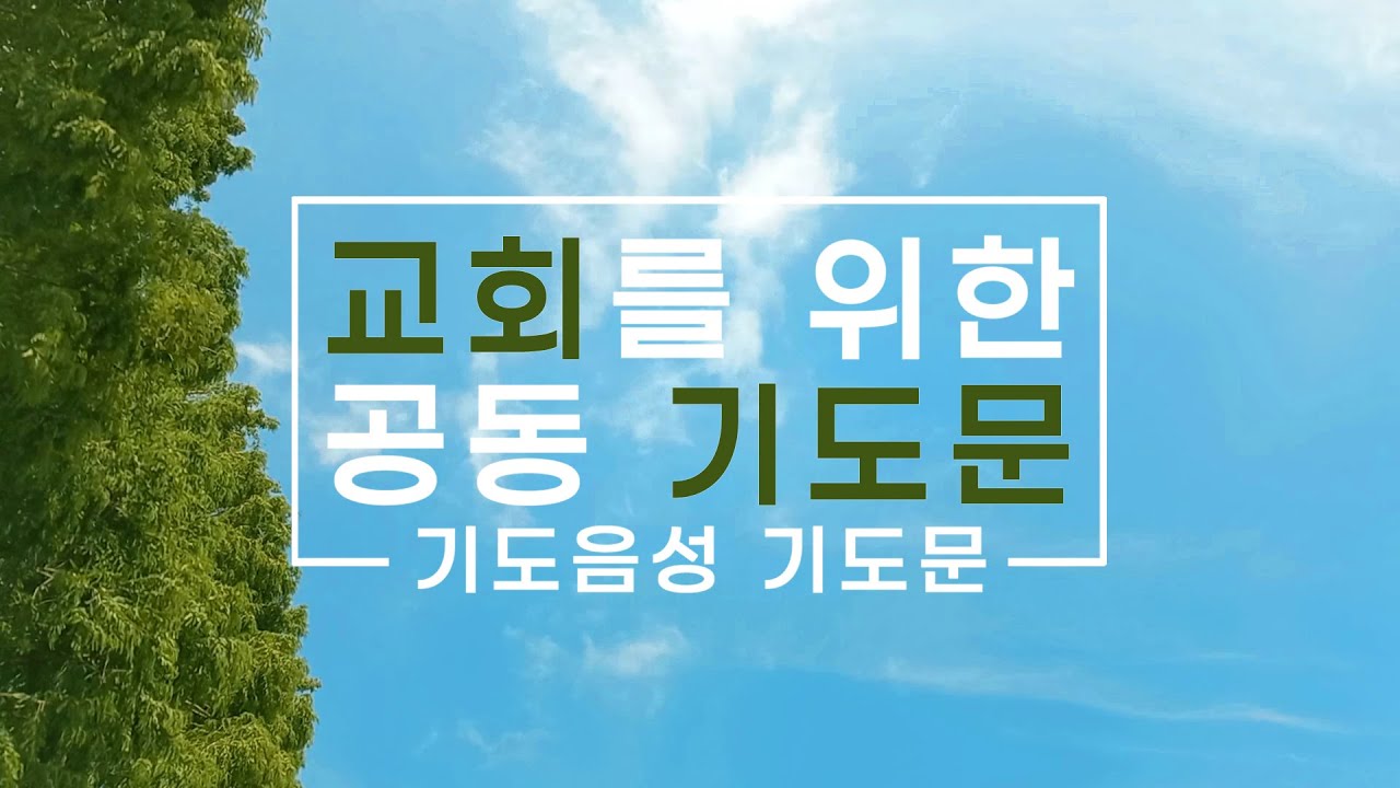 주일예배 대표기도│주일대표기도문│대표기도│교회를 위한 기도│성도를 위한 기도│나를 위한 기도│공동 기도문│기도문 모음│기도 음성│매일 기도│8월대표기도문│9월대표기도문