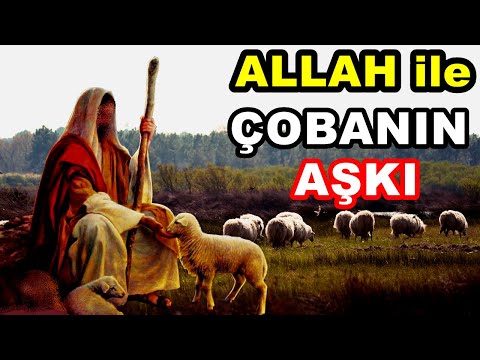 Allah ile Çobanın Aşkı ve Hz. Musa’nın bu Olaya Şahit olması ve Pişmanlığı! Dini Hikaye!