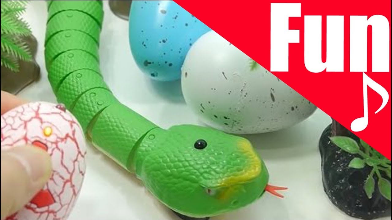 【Twinkle Twinkle Little Star♬】Toy Snakes Robotic Remocon Jungle ...