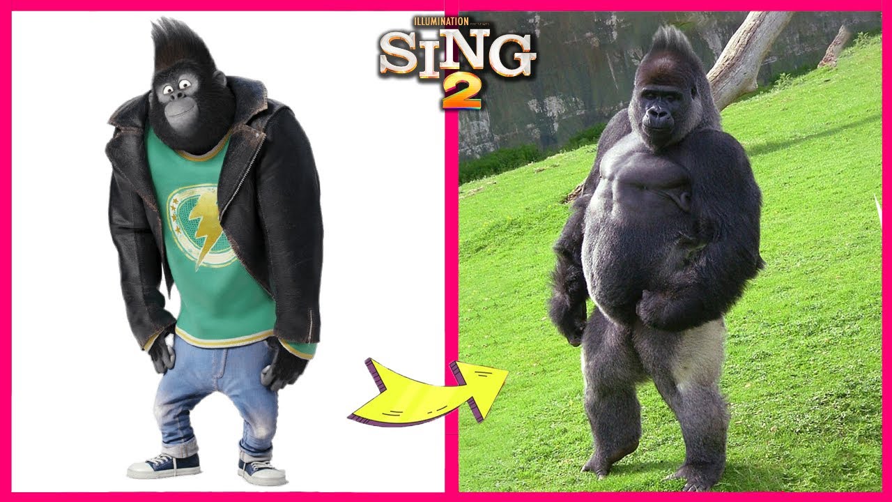 Sing 2 Movie Characters And Their Biggest Fans! | Sing 2 In Real Life ...