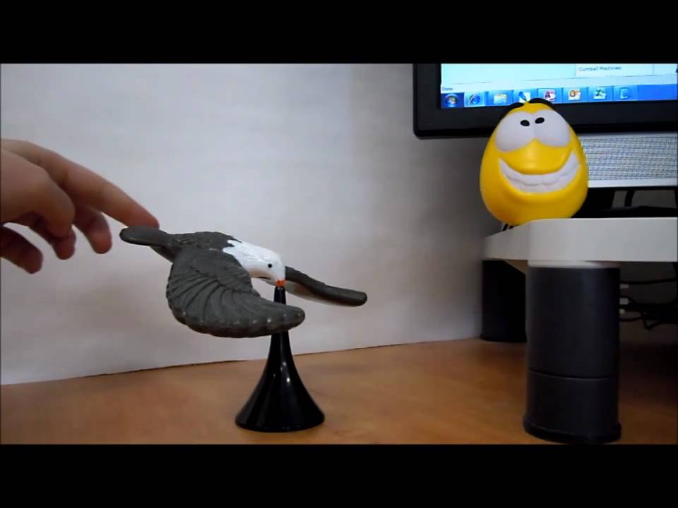 Balancing Eagle - YouTube