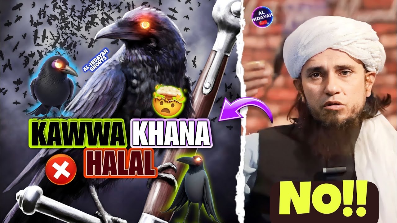 Kawwa Crow Khana Halal 🦅 #tariqmasood #kawwa #crow #khana #haram - YouTube