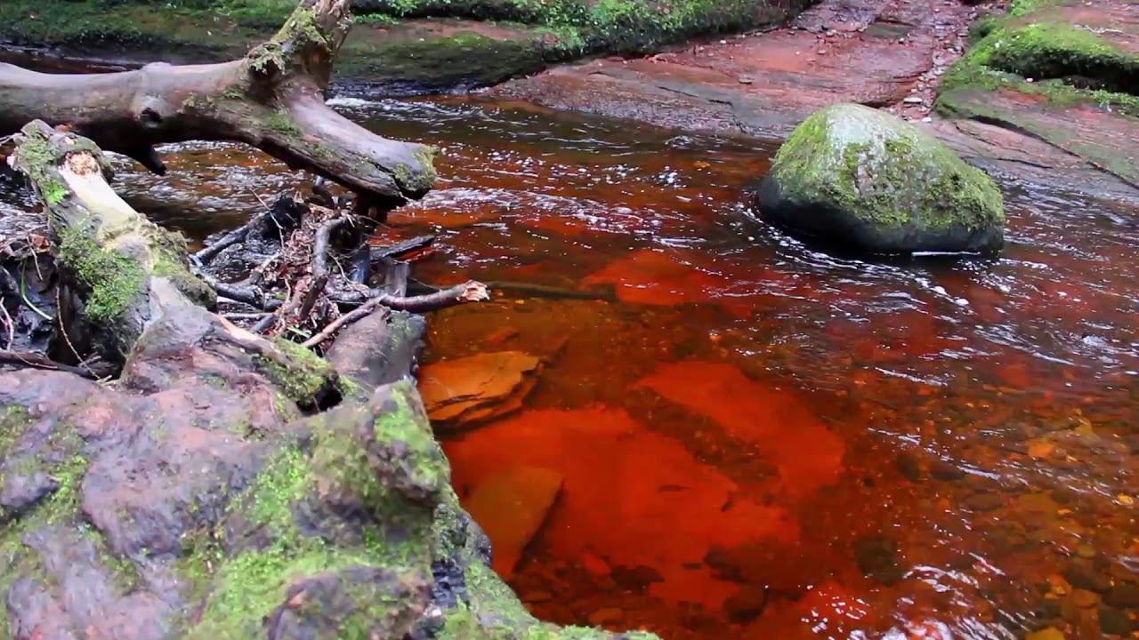 Unique Nature Blood--Red River In Scotland - YouTube