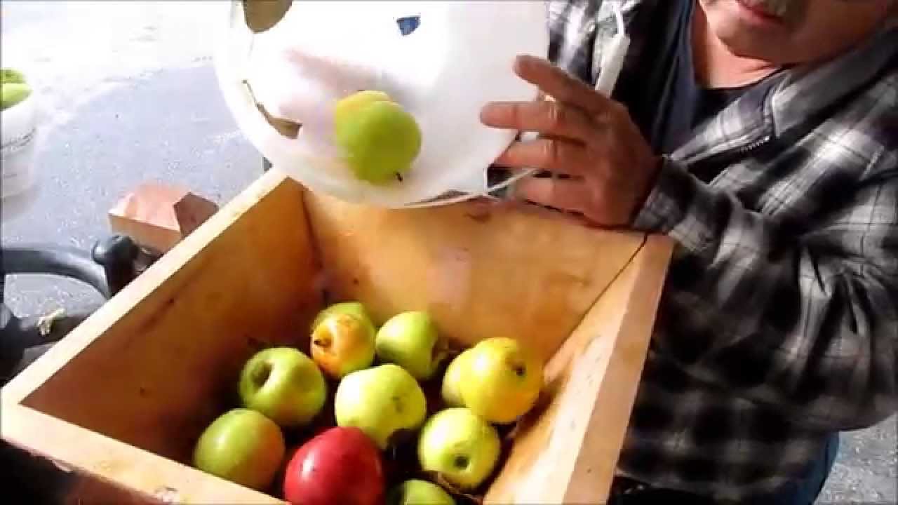 Making Cider the Old Fashioned Way - YouTube