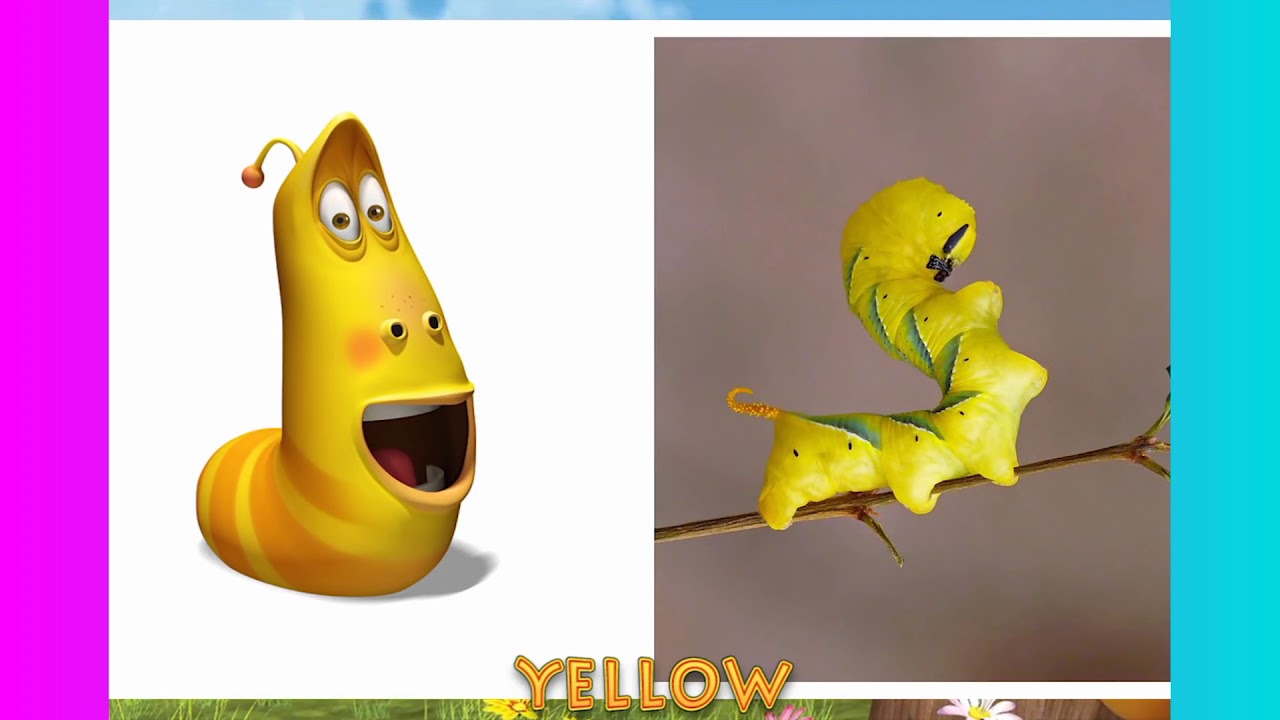 Larva Characters In Real Life - YouTube