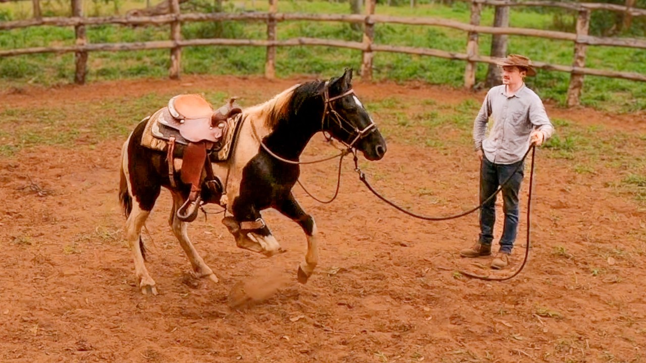 Hobbling A WILD HORSE | Taming A Wild Horse [EP15] - YouTube