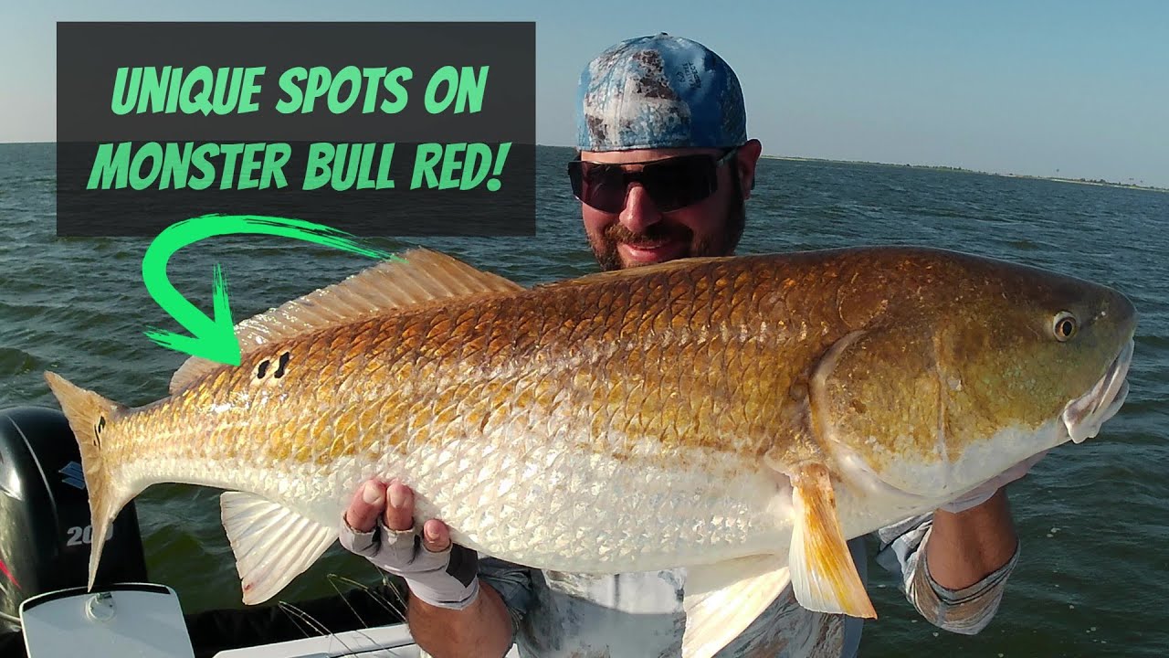Unique Spots! Monster Redfish! #fishing - YouTube