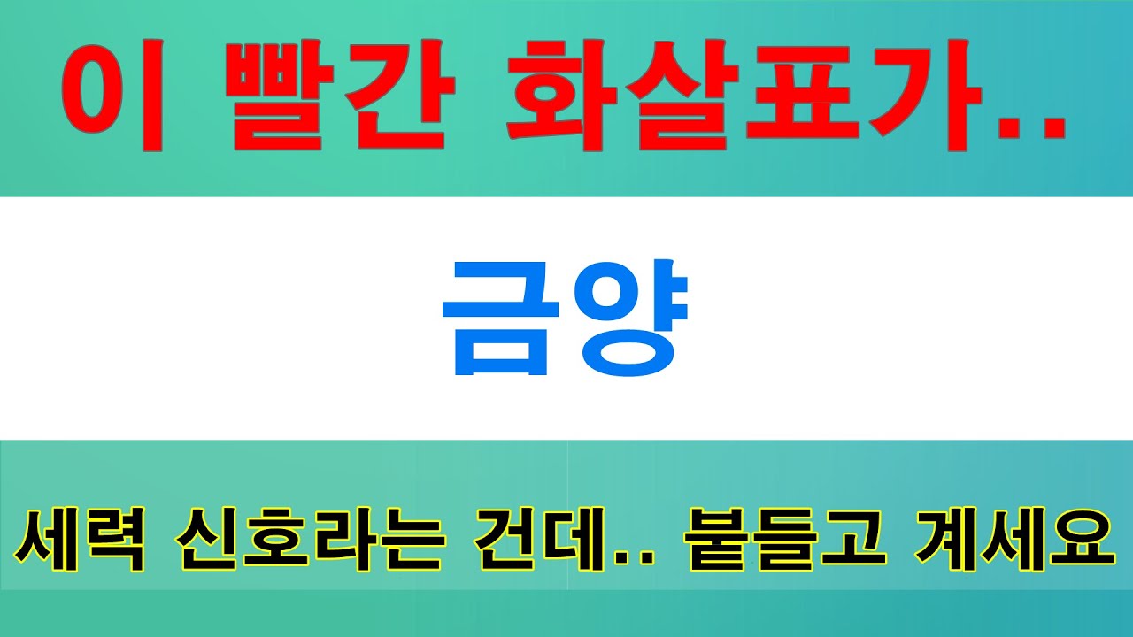 금양 금양주가 금양주가전망 금양분석 금양목표가 금양주식 금양주식전망 금양상한가 금양 Youtube