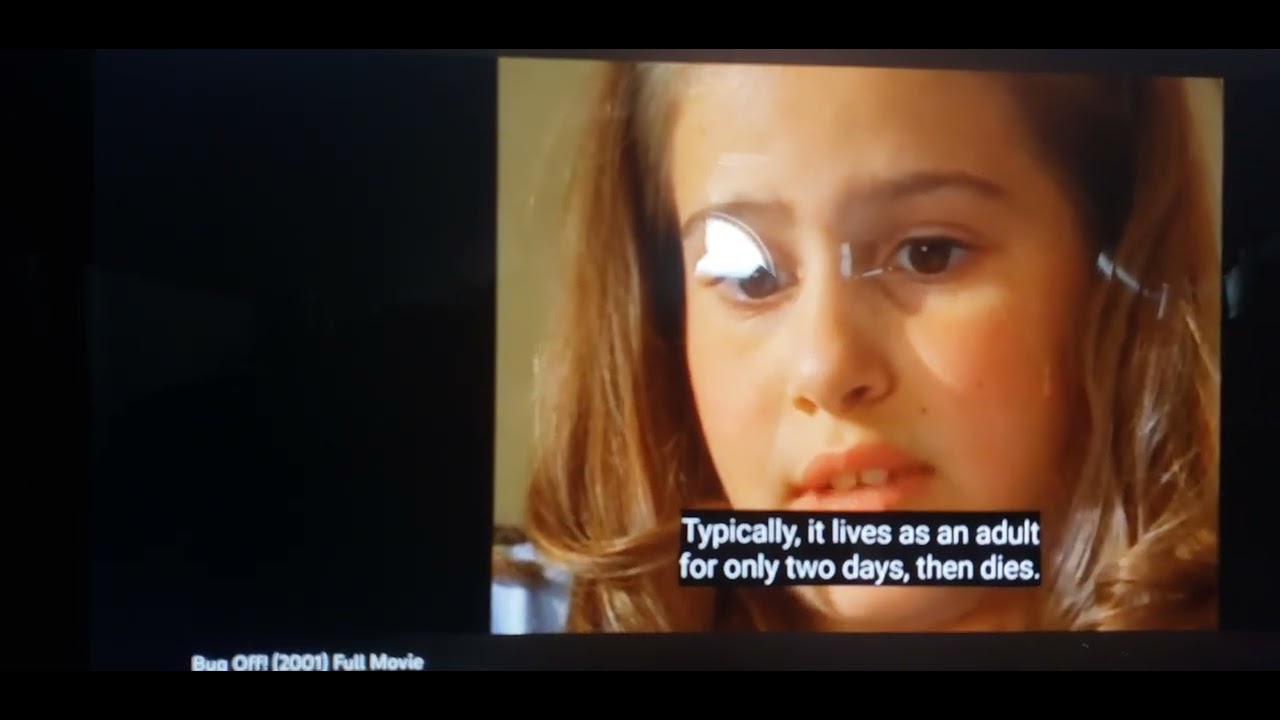 Teletubbies In The ABC Order - Library - YouTube