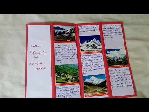 How To Make A Ecosystem Brochure