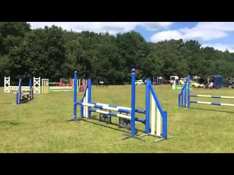 Show jumping accident. Nasty injuries and completely lost my confidence ...