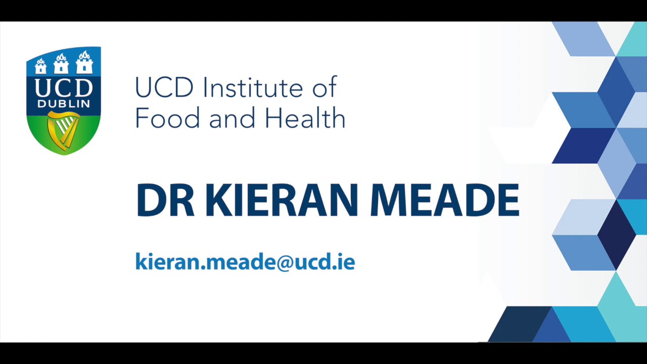 Research Bites – Professor Kieran Meade - YouTube