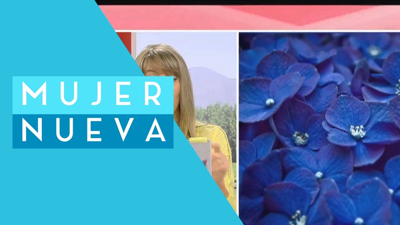 La personalidad según tu color favorito - YouTube