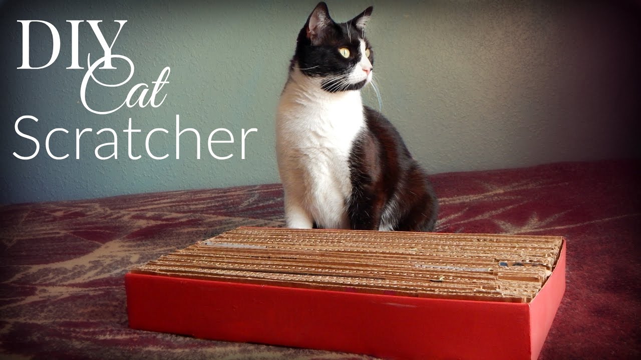 DIY Cat Toys Cardboard Cat Scratcher The Sweetest Journey YouTube diy-cat-toys-cardboard-cat-scratcher-the-sweetest-journey-youtube