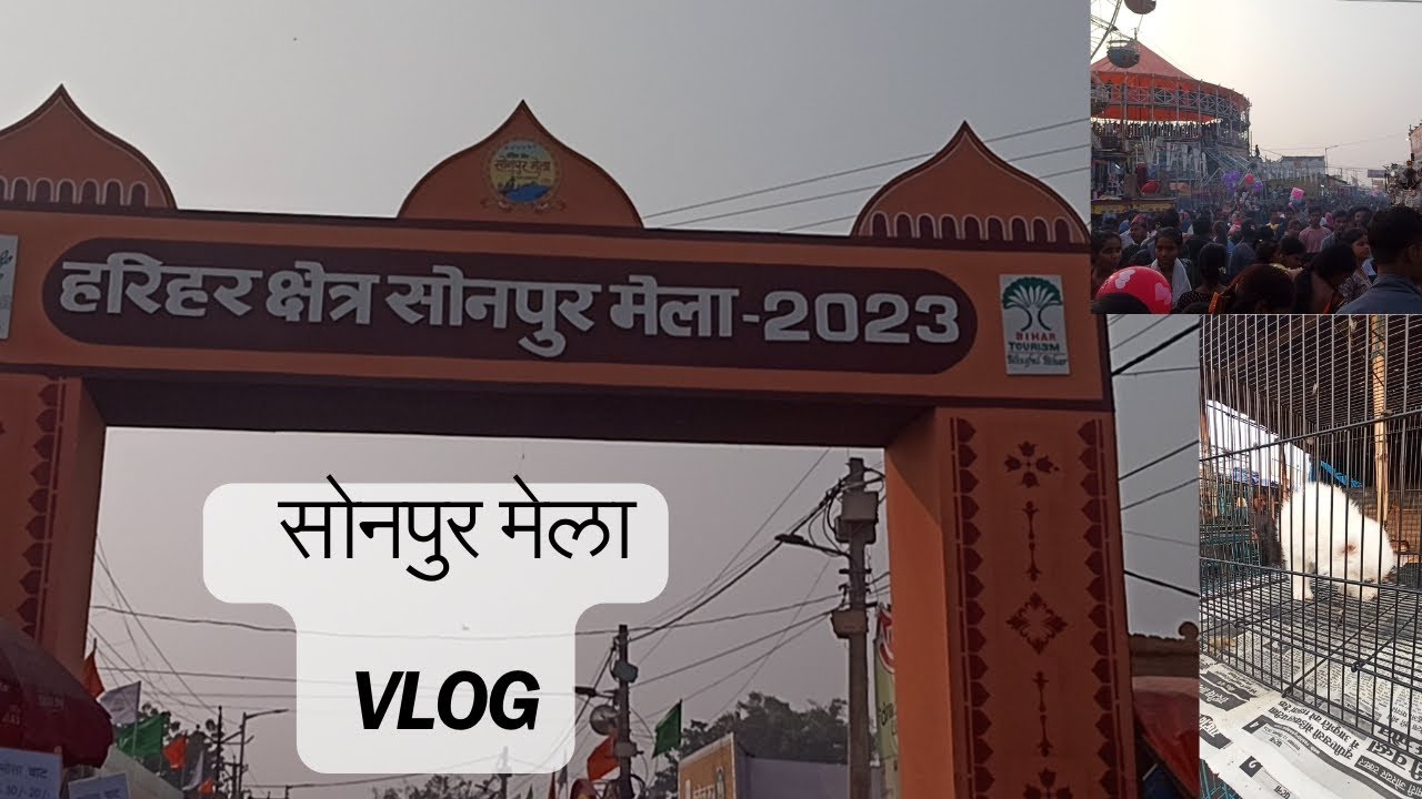 𝗦𝗼𝗻𝗽𝘂𝗿 𝗠𝗲𝗹𝗮 𝗩𝗹𝗼𝗴 𝟮𝟬𝟮𝟯 | 𝗦𝗼𝗻𝗽𝘂𝗿 𝗺𝗲𝗹𝗮 𝗳𝘂𝗹𝗹 𝘃𝗶𝗱𝗲𝗼. #trending - YouTube