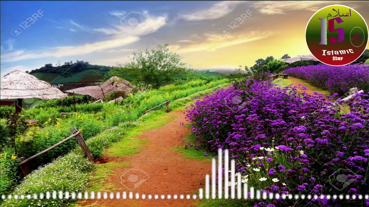 2019 New Best Gojol | Bangla New Islamic Mp3 Song | Best Gojol ...