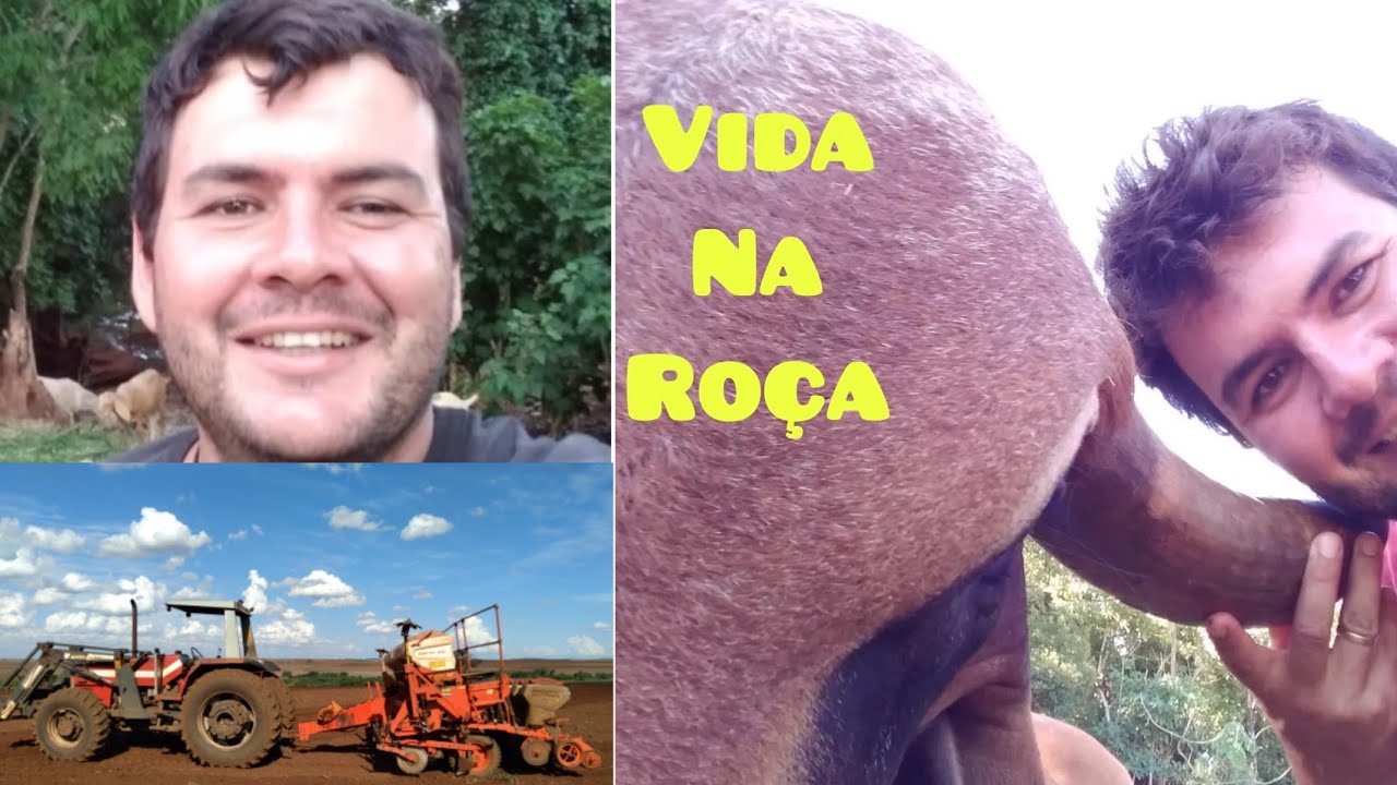 COMO É MINHA VIDA NA ROÇA - YouTube