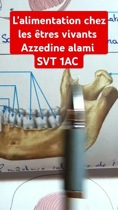 Correction des exercices livre de documents azedine alami p34, 36 et 38. - YouTube