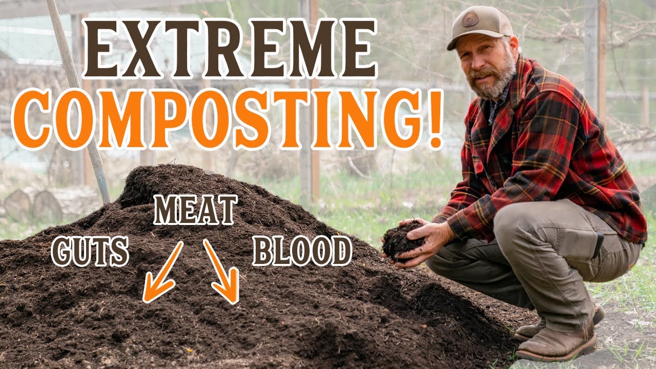 MEAT in Your COMPOST!? | Learn to compost anything!! - YouTube