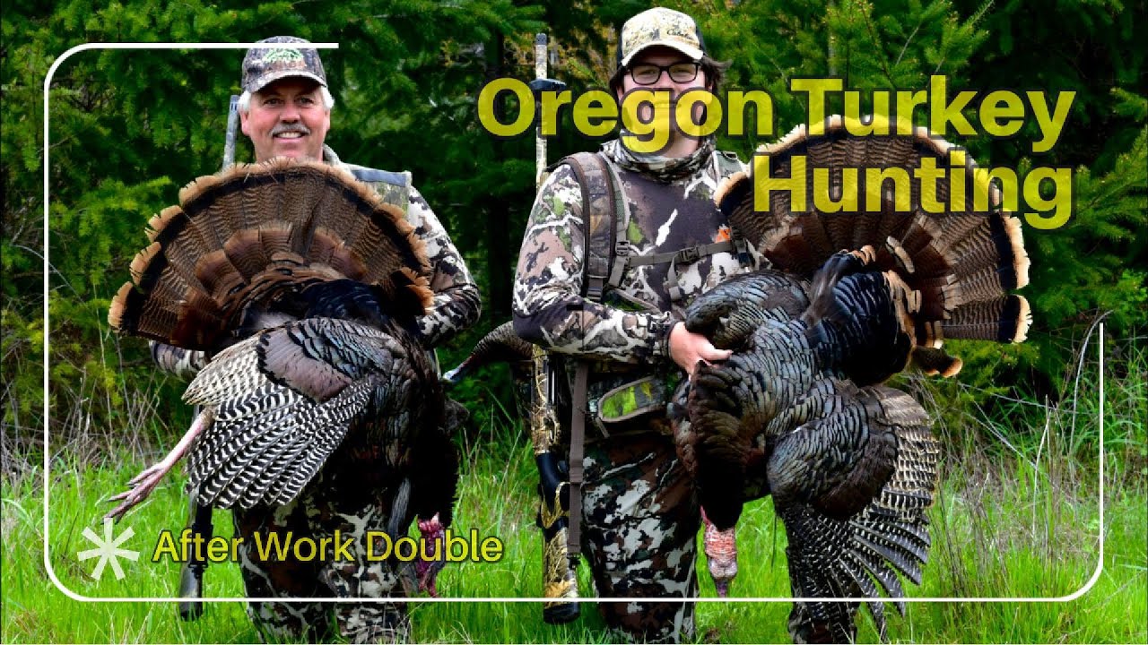 🦃Gobbling Up Oregon: Turkey Hunting After Work - YouTube