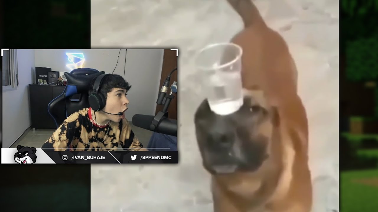 SPREEN VIENDO MEMES (PARTE 4) - YouTube