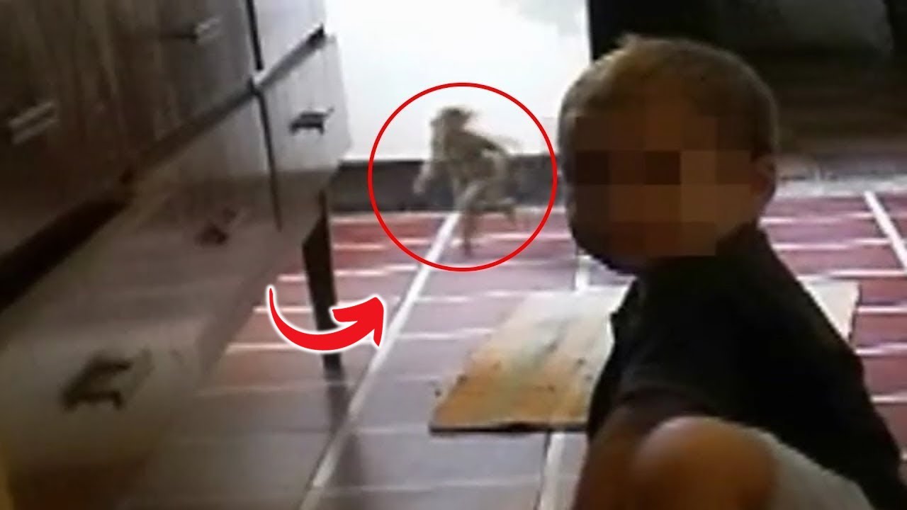 Mythical Creatures Caught On Camera - YouTube