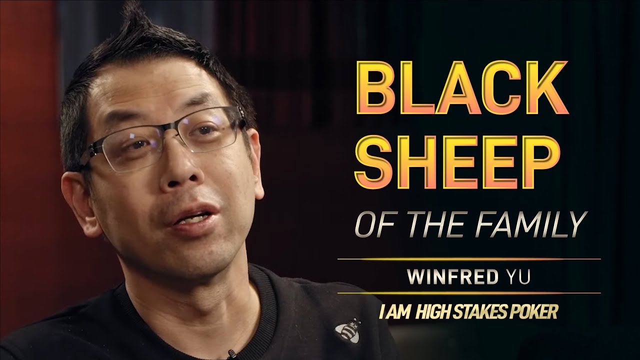 They told me Poker was just Gambling - Winfred Yu - YouTube