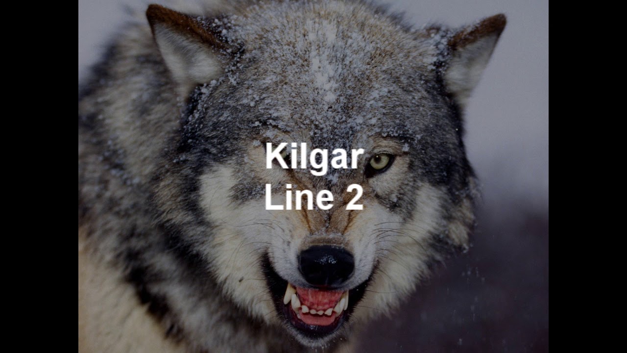 Wayward Light Audition - YouTube