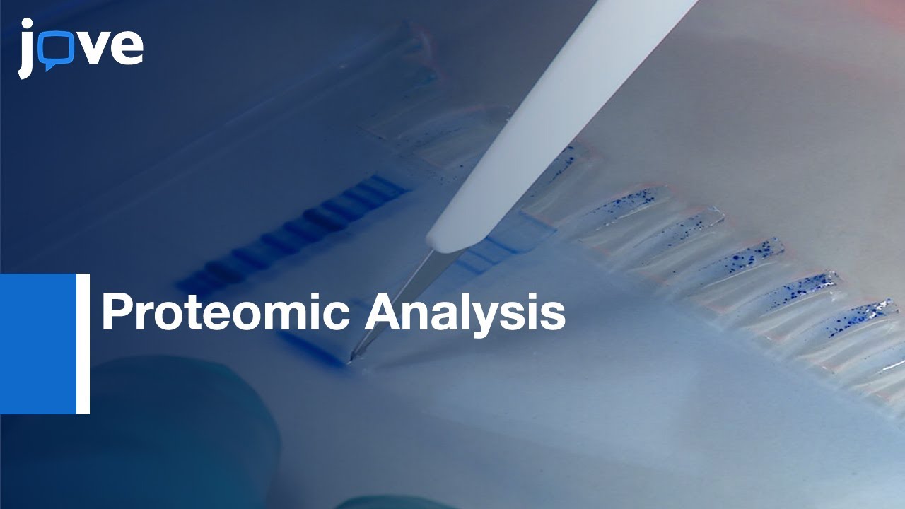 Split-BioID-Proteomic Analysis of Context-specific Protein Complexes ...