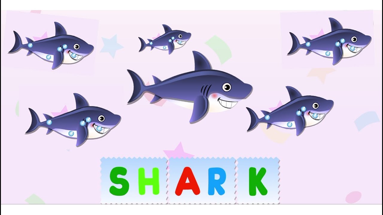 Bini ABC Reading Academy - Letter S - SEAGULL, SHARK, SHEEP, SING ...