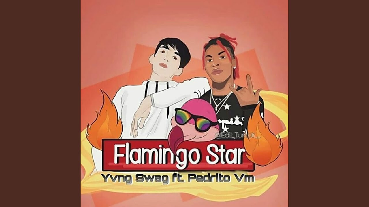 Flamingo Star - YouTube