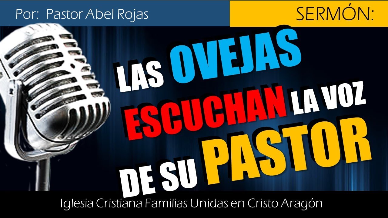 LAS OVEJAS ESCUCHAN LA VOZ DE SU PASTOR - YouTube