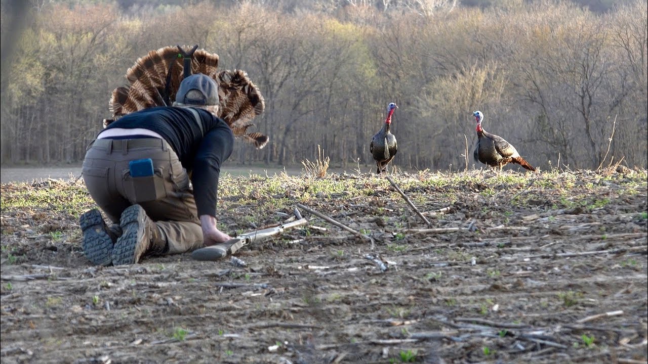 Reaping Turkeys: Bachelor Party Double - YouTube