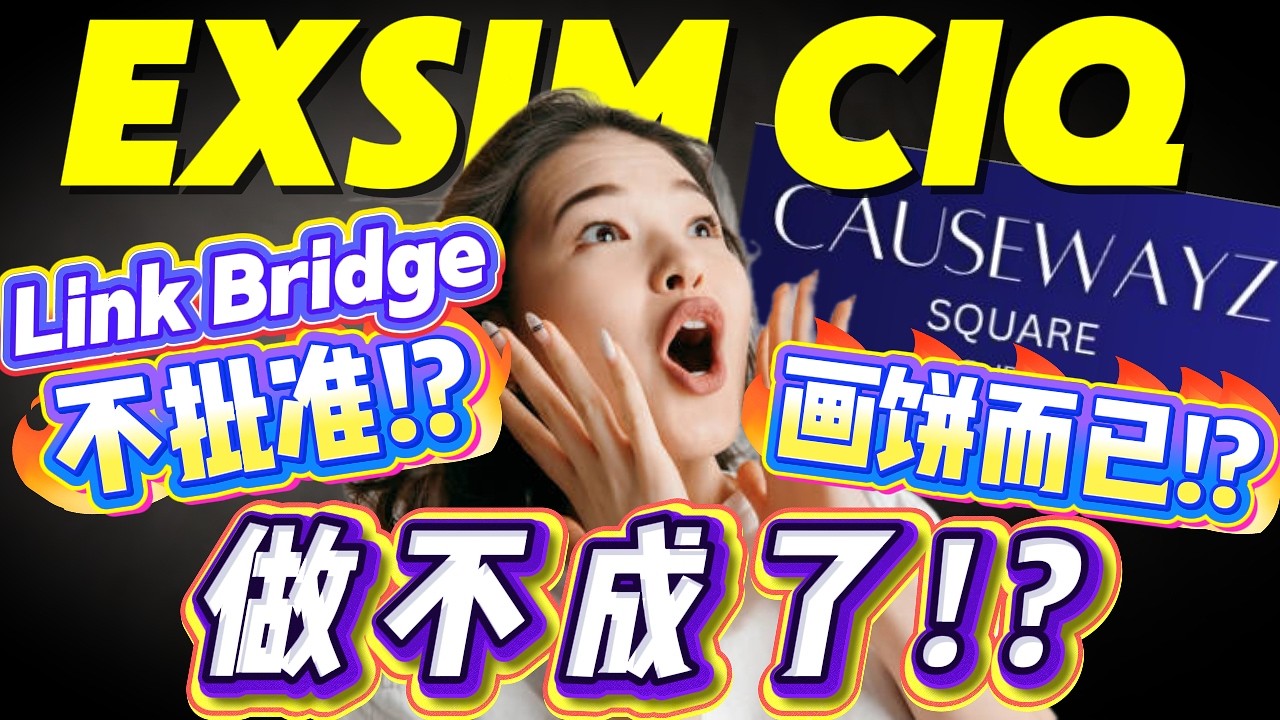 ⚠️都说Exsim CIQ Link Bridge只提交！没批准！超担忧！？ 没有就没有价值了！！揭开JB 新山附近的Causewayz ...