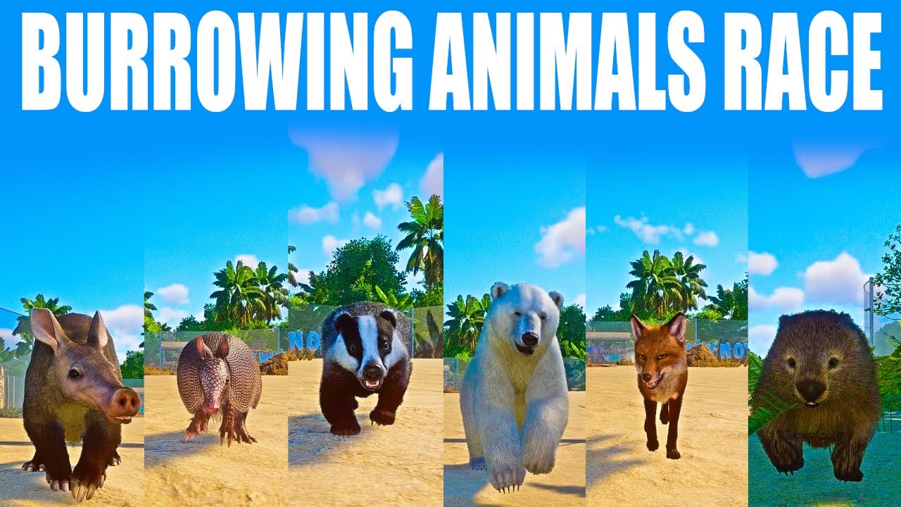 Burrowing Animals Speed Race in Planet Zoo included Fox, Bear, Badger ...