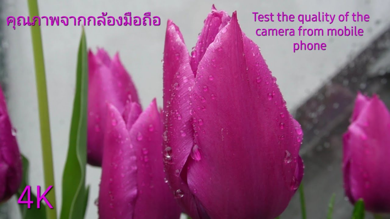 ทดสอบคุณภาพของกล้องจากมือถือ Test the quality of the camera from mobile ...