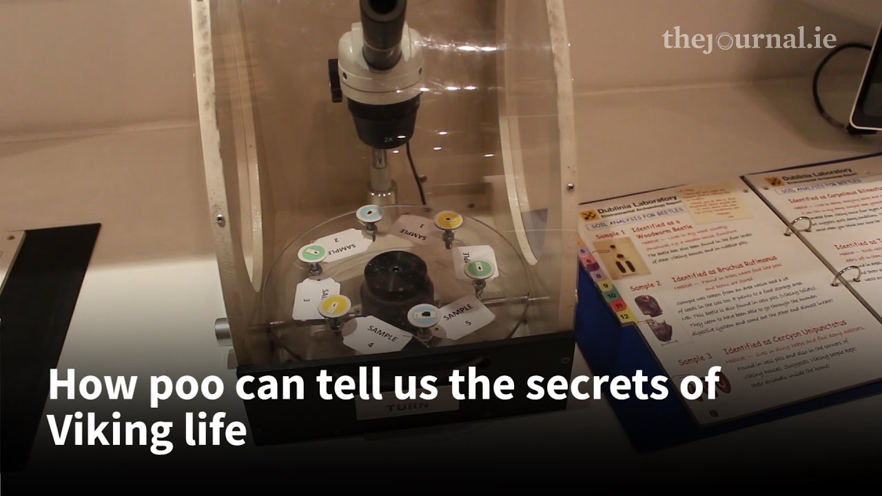 What poo can tell us about Viking Dublin - YouTube